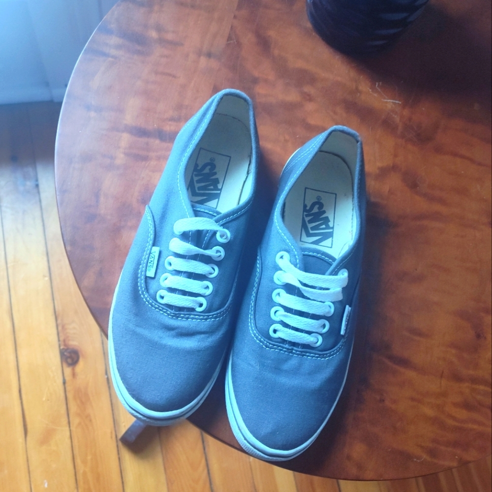 Vans Authentic Lace-Up Sneaker In Pewter/Gray - Gem